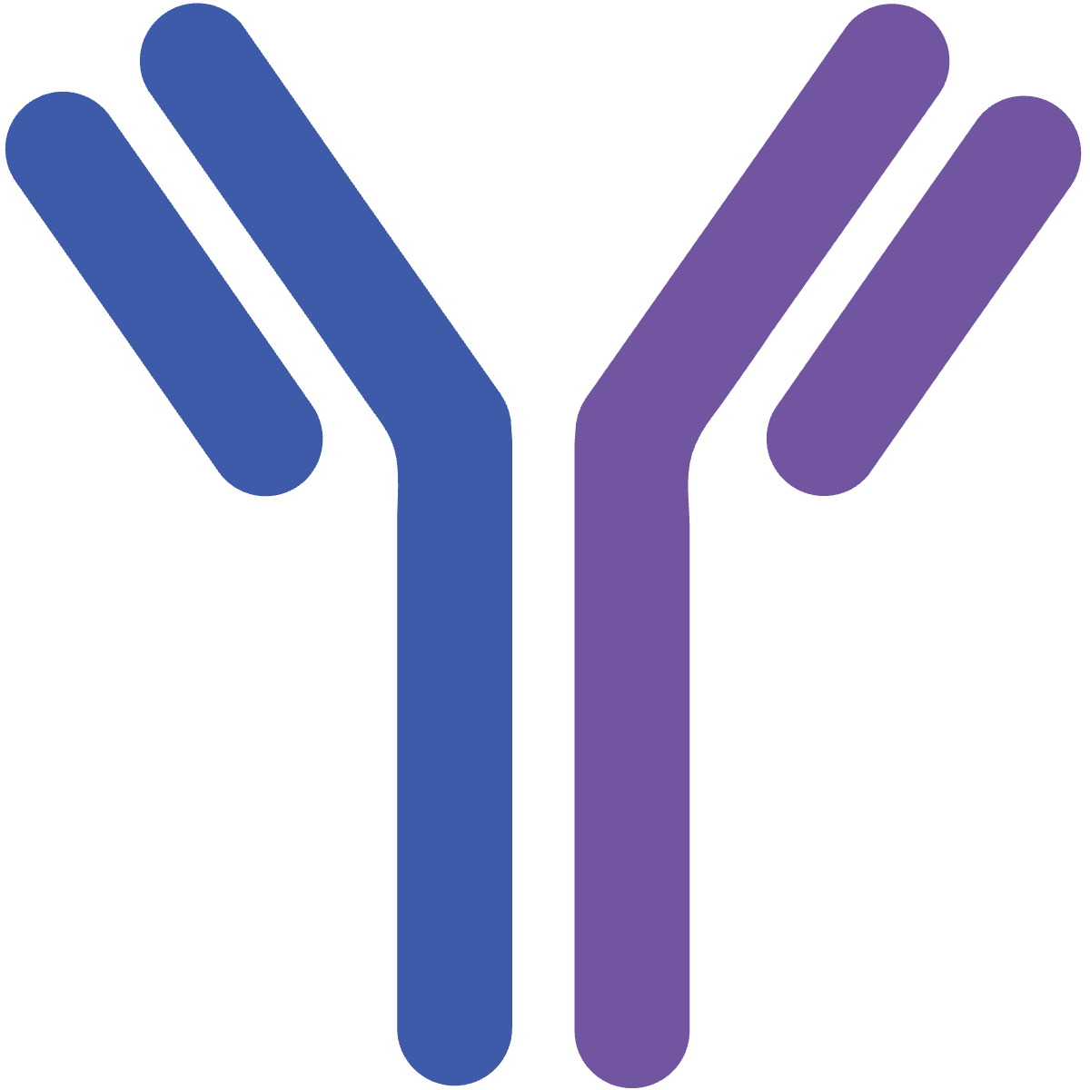 IgG4-TREAT - IgG4 Autoimmune diseases